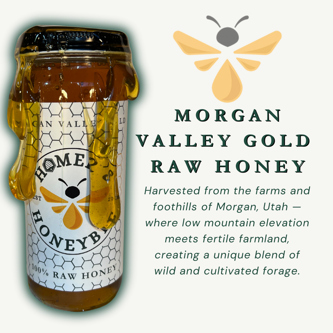 Morgan Valley Gold Raw Honey – Homer's Honeybee